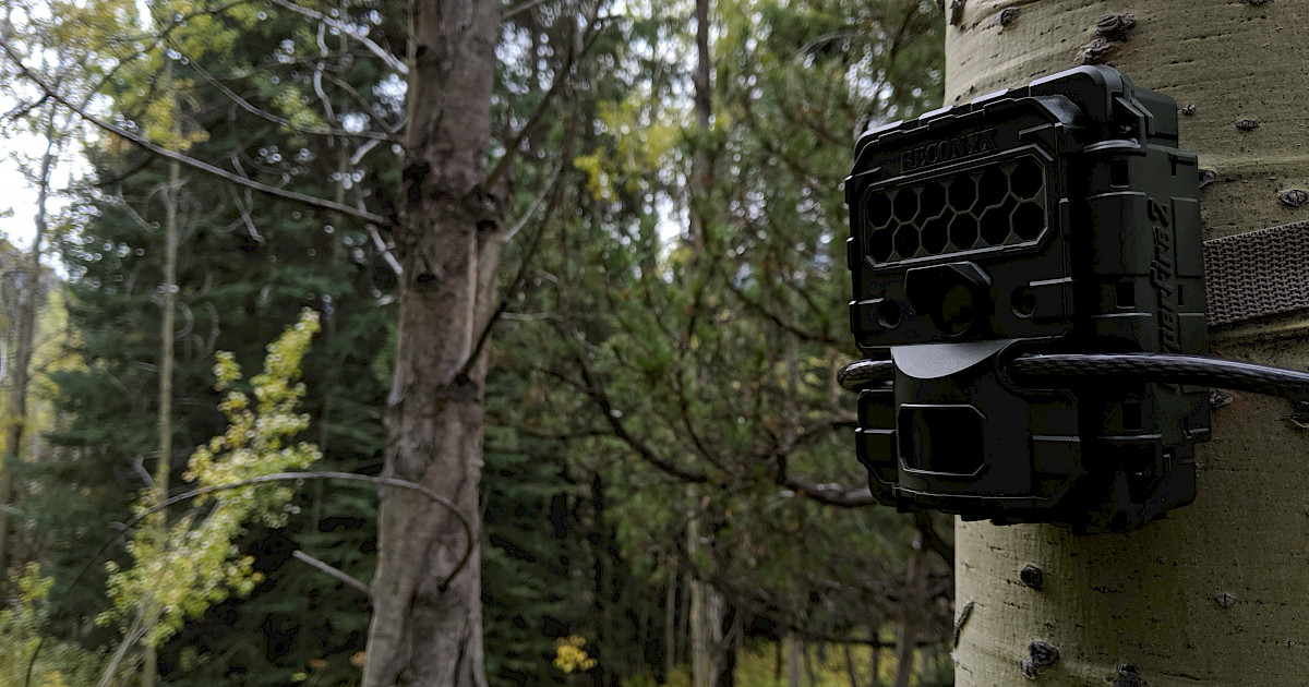 Fisher Artificial Reproductive Den Box Project