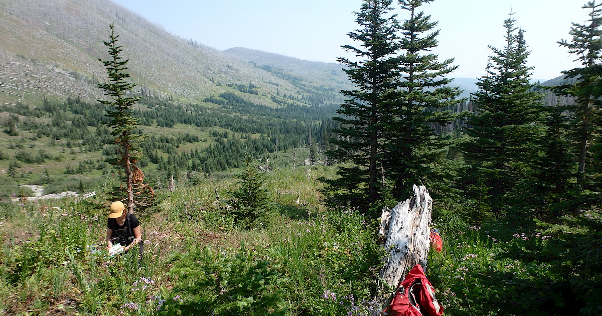 Western Alberta Wildlife-Recreation Project